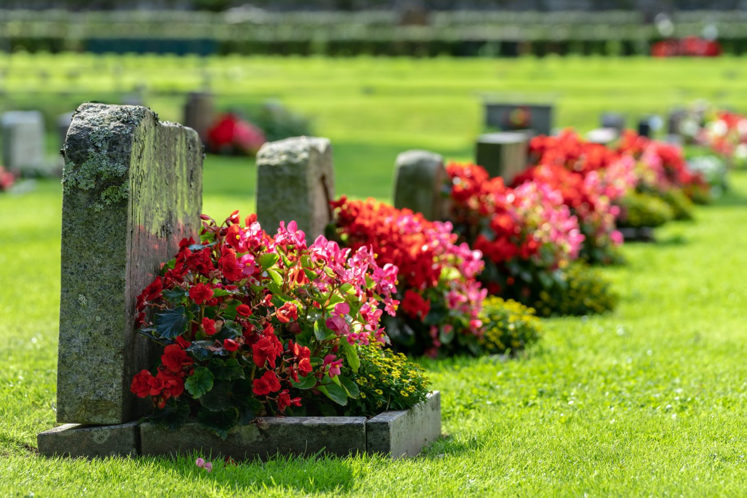 Best Catholic Funeral Songs | Archdiocese of Philadelphia